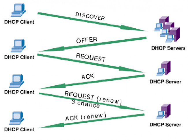 DHCP协议说明及报文分析_dhcp报文分析详解-CSDN博客