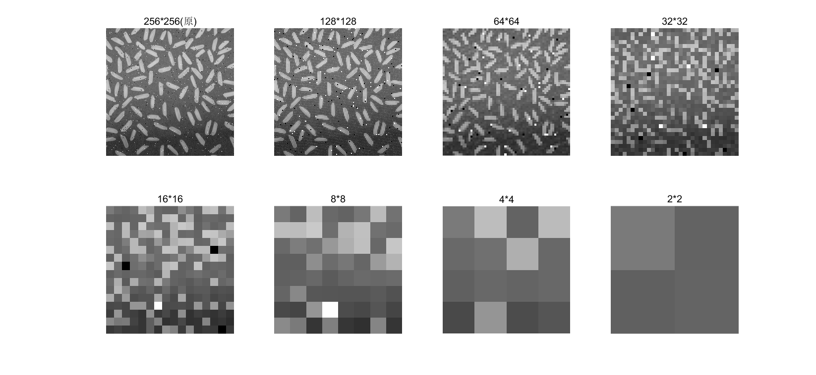 图像属性的基本操作（Matlab实现）_蟹黄堡每天一份，蟹蟹的博客-CSDN博客_matlab显示图像的基本属性