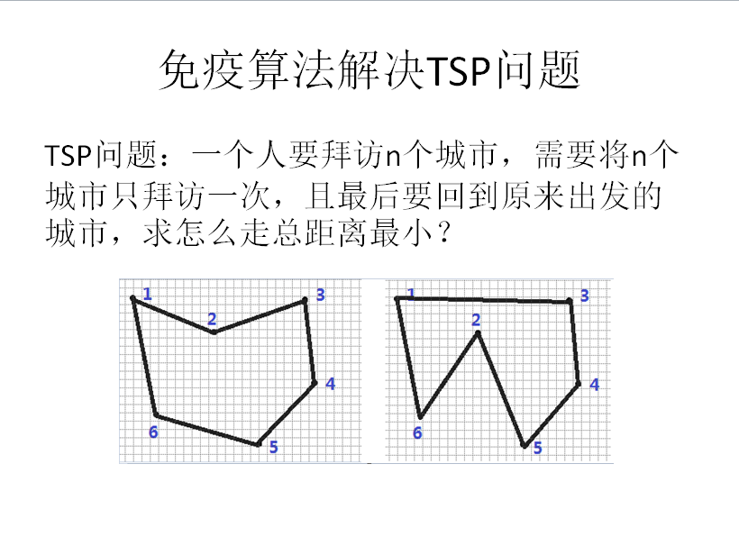 用免疫算法解决TSP问题_免疫算法求解tsp python-CSDN博客