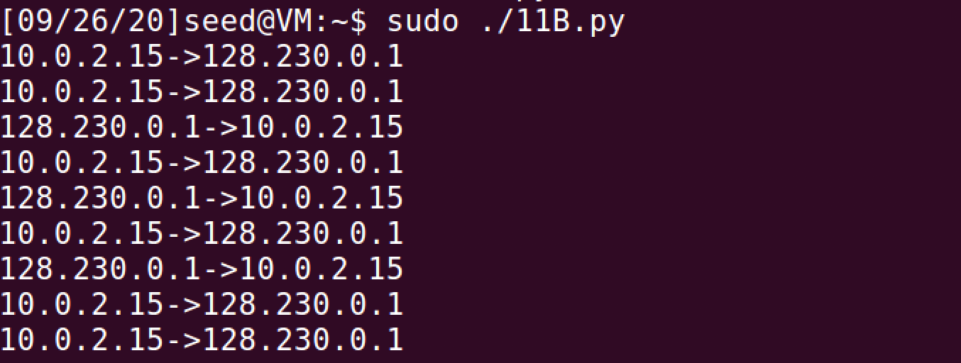SeedLab1: Sniffing & Spoofing Lab_seed lab sniffing-CSDN博客