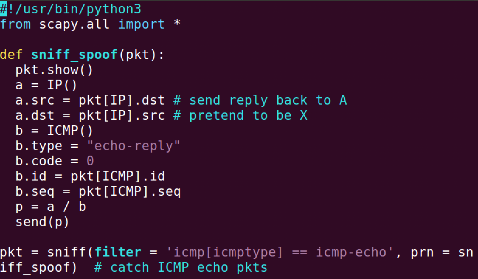 SeedLab1: Sniffing & Spoofing Lab_seed lab sniffing-CSDN博客