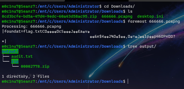 BUUCTF：菜刀666_buuctf 菜刀666-CSDN博客