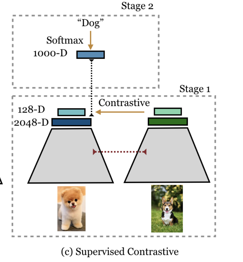 自监督对比损失和监督对比损失的对比_supervised contrastive loss (scl)-CSDN博客
