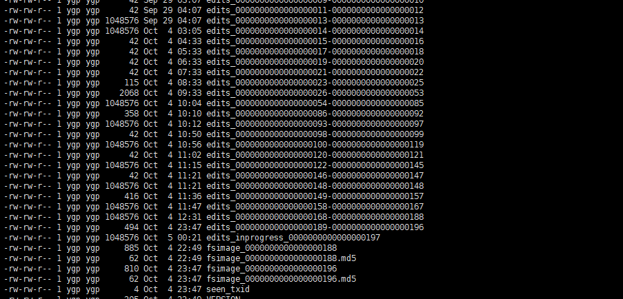Hadoop-HDFS之Namenode操作及原理_hdfs namenode -initializesharededits-CSDN博客