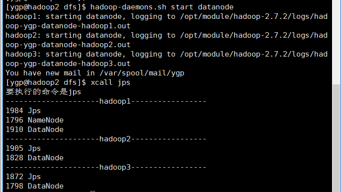 Hadoop-HDFS之Namenode操作及原理_hdfs namenode -initializesharededits-CSDN博客