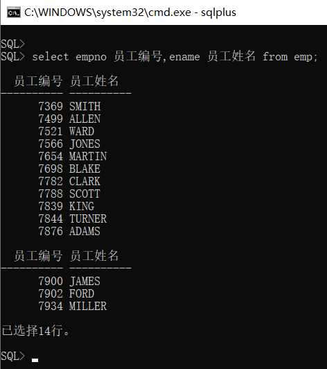 Dbeaver stepped: SQL error [911] [22019]: ORA-00911: Invalid characters ...