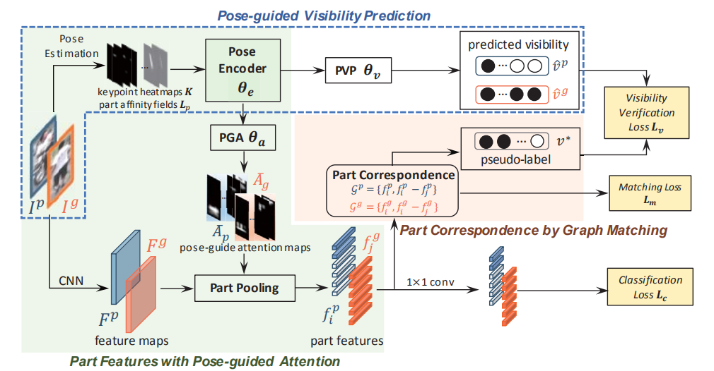 《论文阅读》Pose-guided Visible Part Matching for Occluded Person Re-ID-CSDN博客