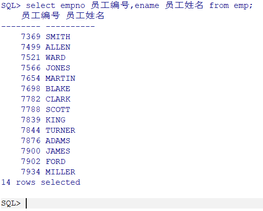 成功解决 PL/SQL Developer 报错 ORA-00911: invalid character-CSDN博客