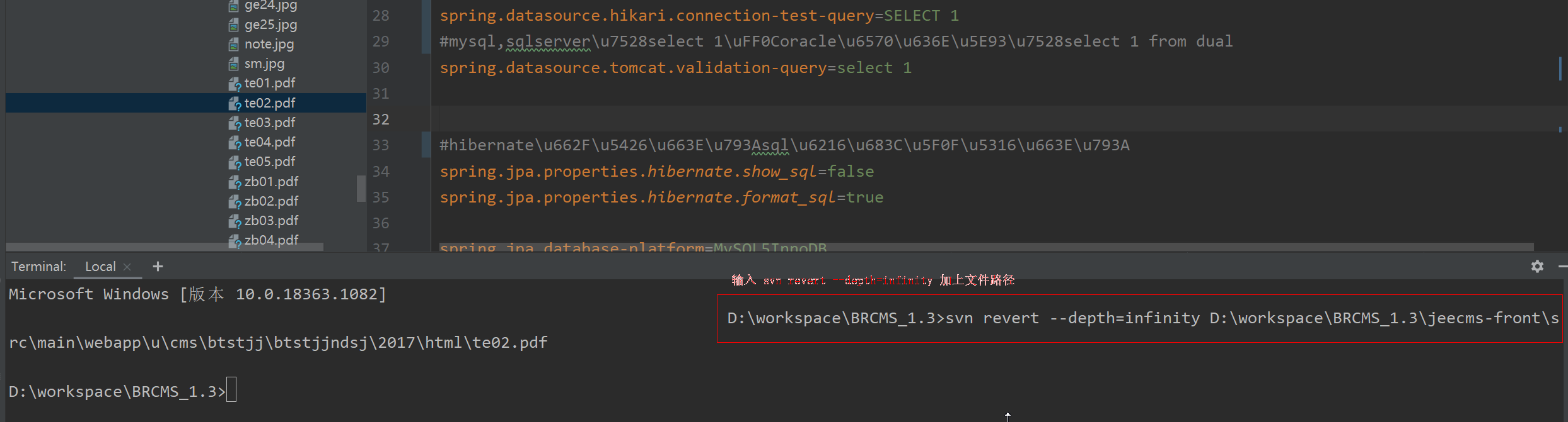 SVN更新（update）文件时，报skipped, remains conficted时的解决办法 - 程序员大本营