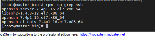 Hadoop单机模式用MobaXterm环境搭建(详细)_mobaxterm中如何安装hadoop-CSDN博客
