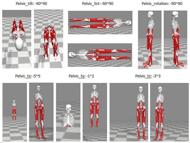 Opensim教程1-骨骼肌肉建模入门_bao1997_xuan的博客-CSDN博客_opensim教程