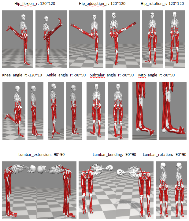 Opensim教程1-骨骼肌肉建模入门_bao1997_xuan的博客-CSDN博客