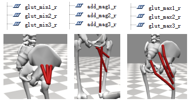 Opensim教程1-骨骼肌肉建模入门_opensim 骨骼_bao1997_xuan的博客-CSDN博客