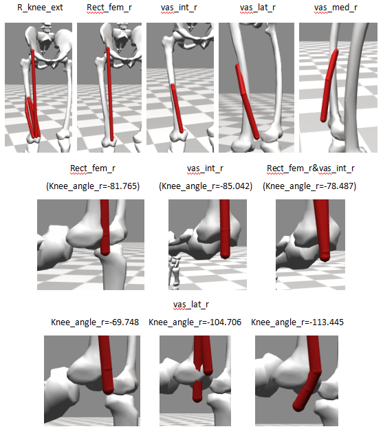 Opensim教程1-骨骼肌肉建模入门_bao1997_xuan的博客-CSDN博客_opensim教程