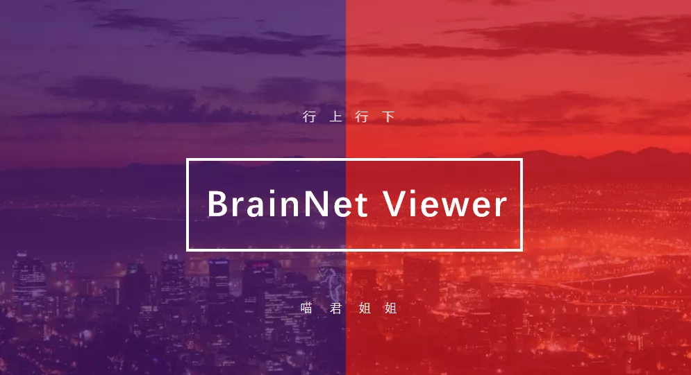 BrainNet Viewer:人类大脑连接的网络可视化工具_aal图谱-CSDN博客