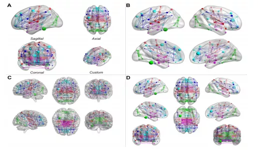 BrainNet Viewer:人类大脑连接的网络可视化工具_aal图谱-CSDN博客