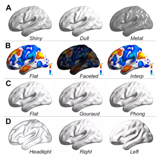 BrainNet Viewer:人类大脑连接的网络可视化工具_aal图谱-CSDN博客