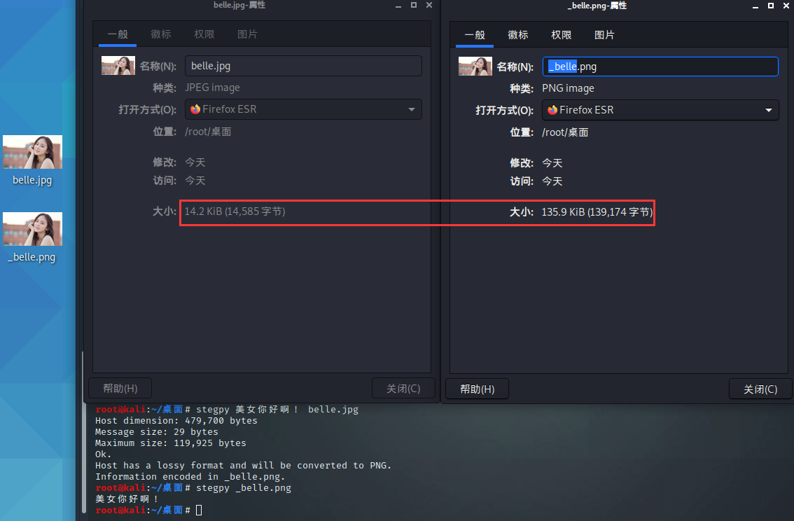 CTF隐写工具stegpy的安装及使用（破解图片有惊喜）-CSDN博客