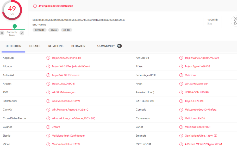 恶意代码分析实战lab1-1/lab1-2/lab1-3/lab1-4_wupdmgrd-CSDN博客