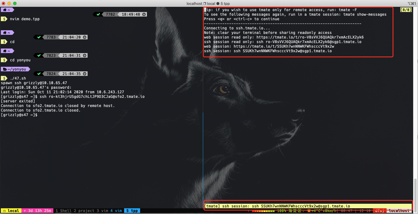 工具篇——1、TMUX_tmux group-CSDN博客