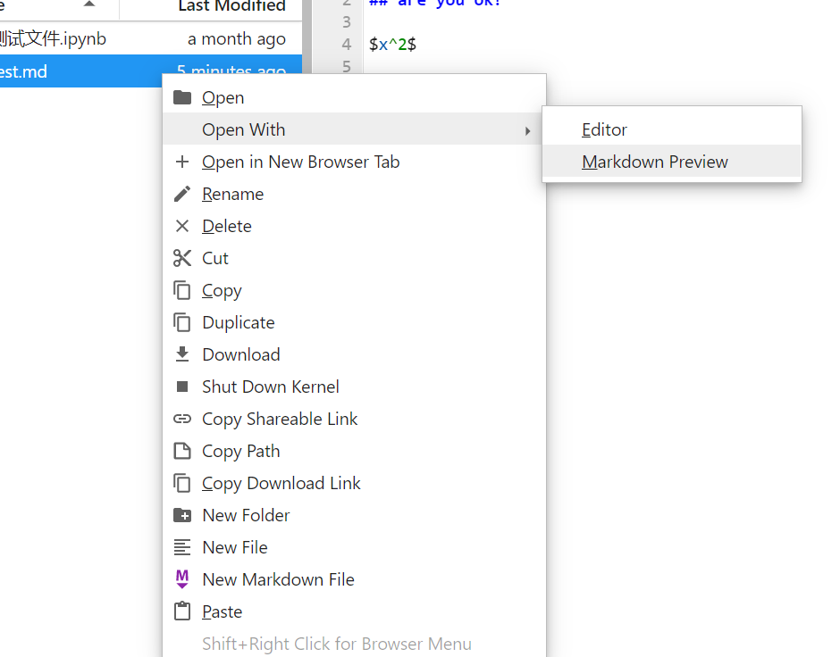 jupyter中预览md文件_jupyter markedown 展示-CSDN博客