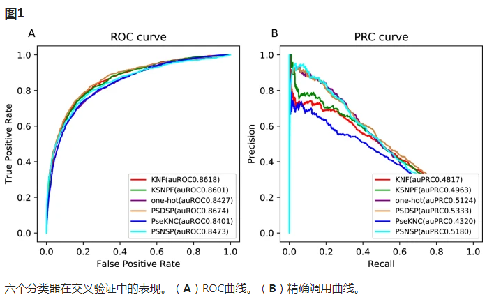 论文解读：《PACES：mRNA中N4乙酰胞苷（ac4C）修饰位点的预测》_ac4c位点预测-CSDN博客