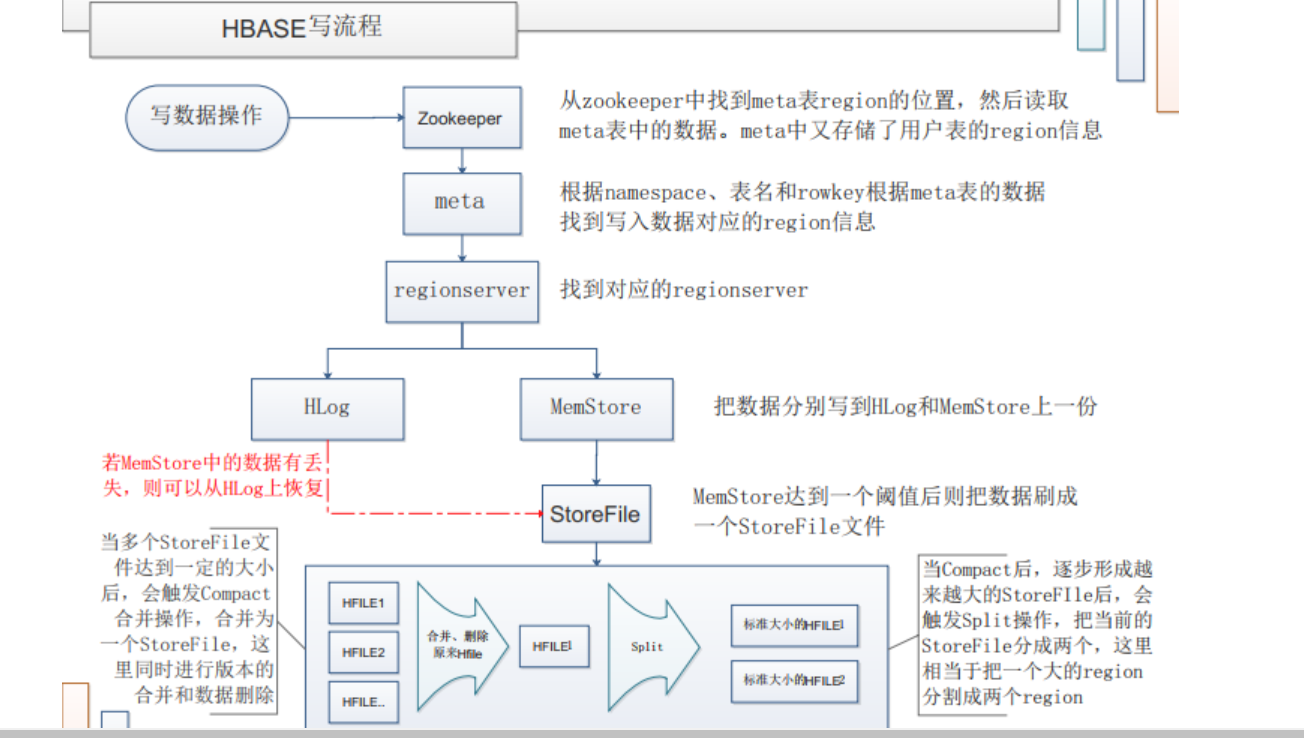 HBase 的读写过程_hbase读写流程-CSDN博客