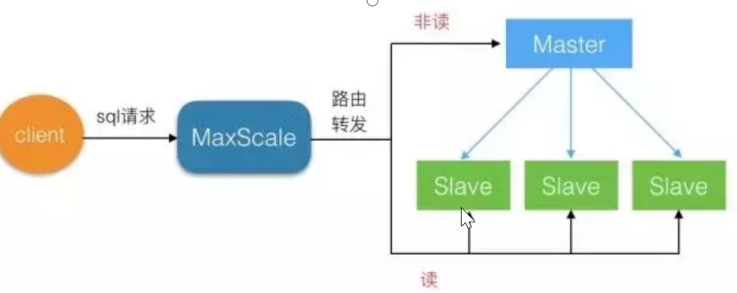安装maxscale实现MariaDB高可用及读写分离-CSDN博客