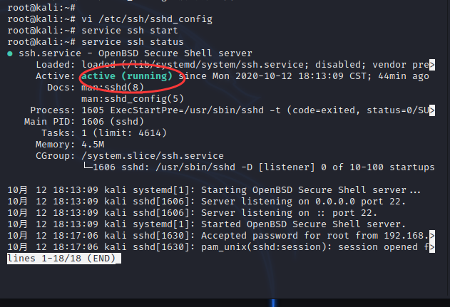 kail连接Xshell以及windows与kali服务端文件互传_kali与windows互传文件-CSDN博客