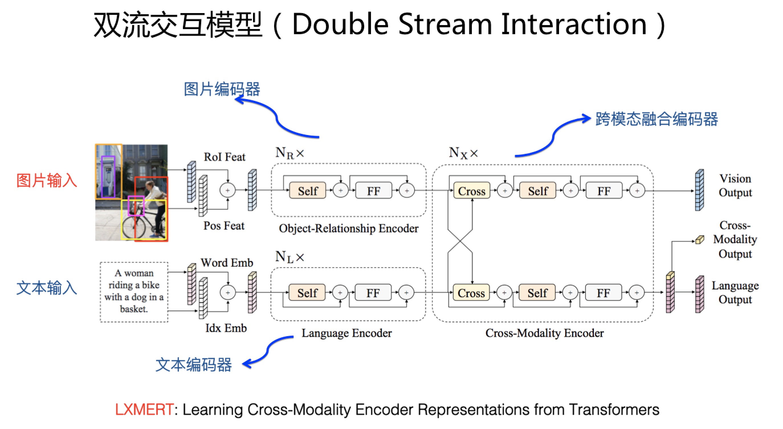 两年来预训练模型（PTM）的技术进展_ptm结构分析模板-CSDN博客
