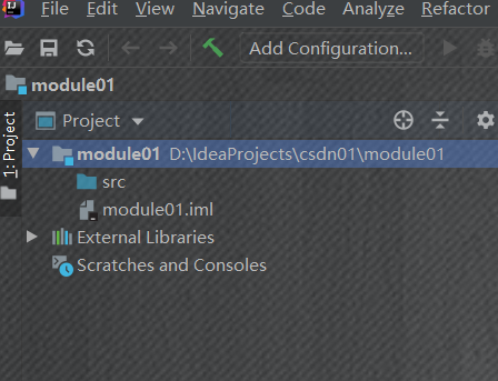 IDEA 中 Project 和 Module 详解与实战_idea project module-CSDN博客