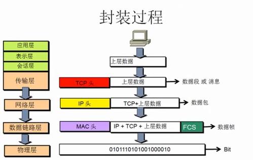 OSI模型与DOD模型的对比_shmily_yz的博客-CSDN博客