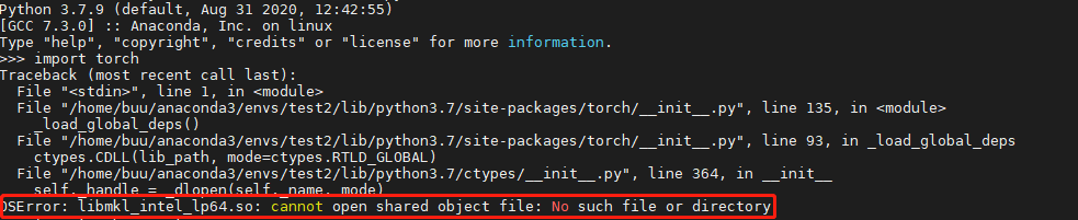 python导入pytorch报错libmkl_python引用pyquery报错-CSDN博客