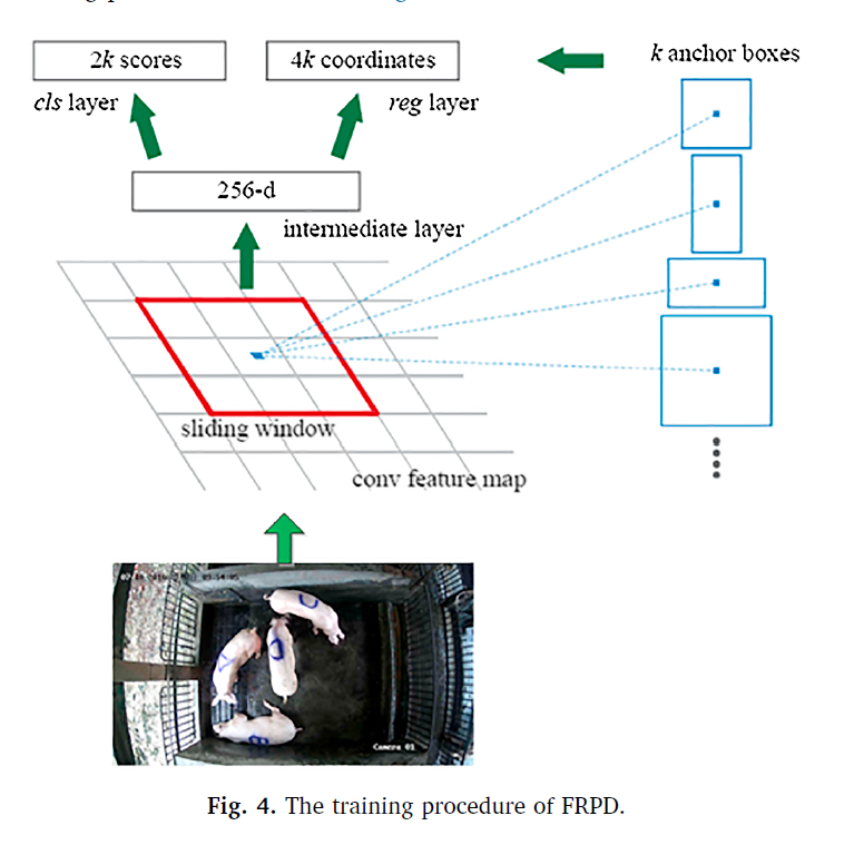 深度学习 Feeding behavior recognition for group-housed pigs with the Faster ...