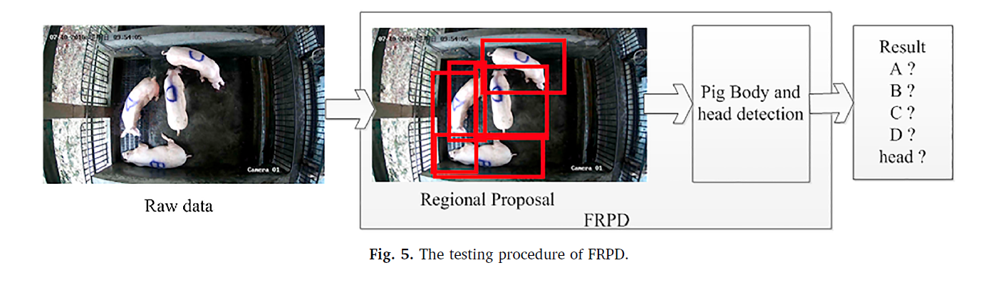 深度学习 Feeding behavior recognition for group-housed pigs with the Faster ...