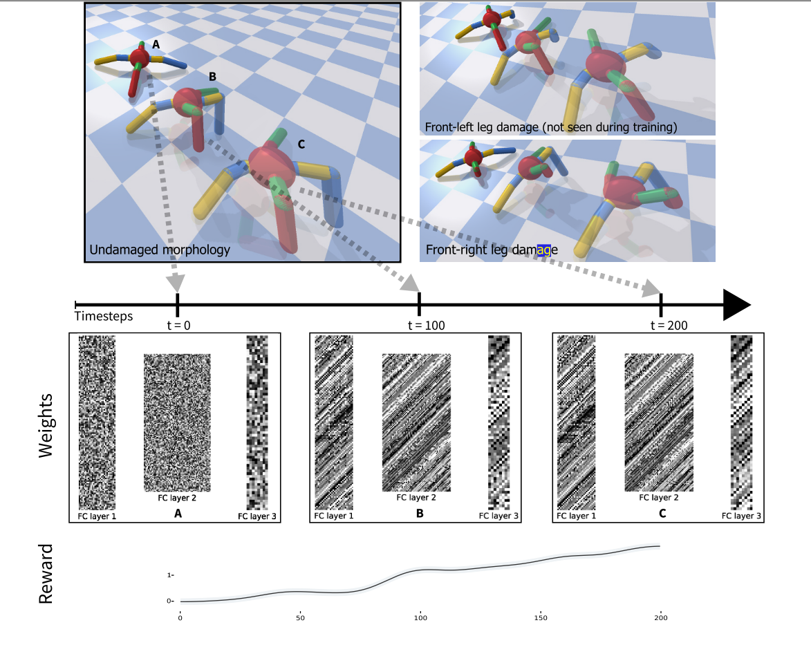 随机网络中通过Hebbian可塑性进行元学习(Meta-Learning through Hebbian Plasticity in ...