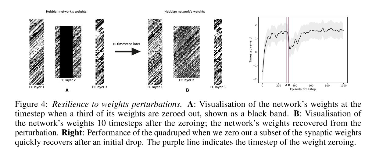 随机网络中通过Hebbian可塑性进行元学习(Meta-Learning through Hebbian Plasticity in Random Networks)-CSDN博客