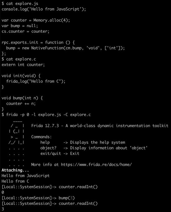 Frida JavaScript API学习_frida js-CSDN博客