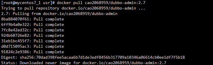 docker 快速安装dubbo-admin_dubbo admin docker-CSDN博客
