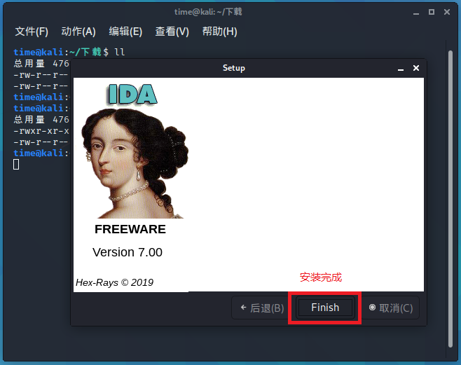 kali2020.3 安装IDA freeware-CSDN博客