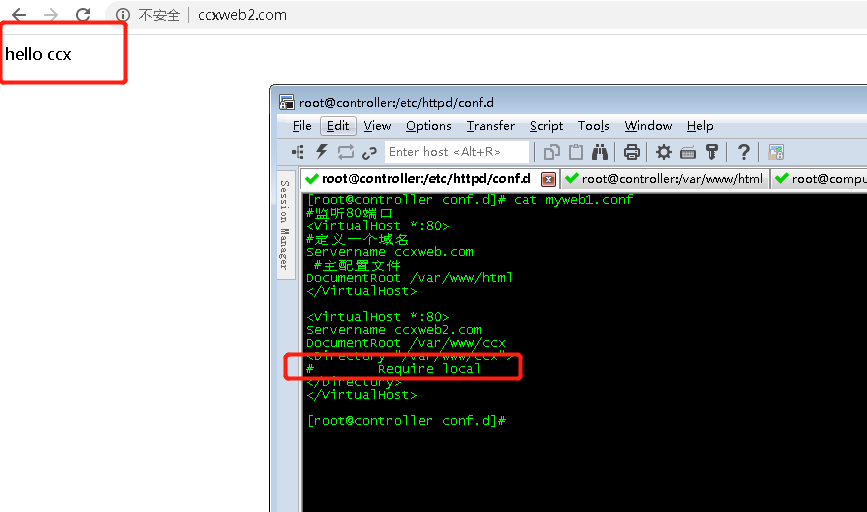 linux搭建web服务器(网站)(不同场景中最简单的搭建方法）,windows和linux域名解析方式说明_linux 快速启动一个web小 ...