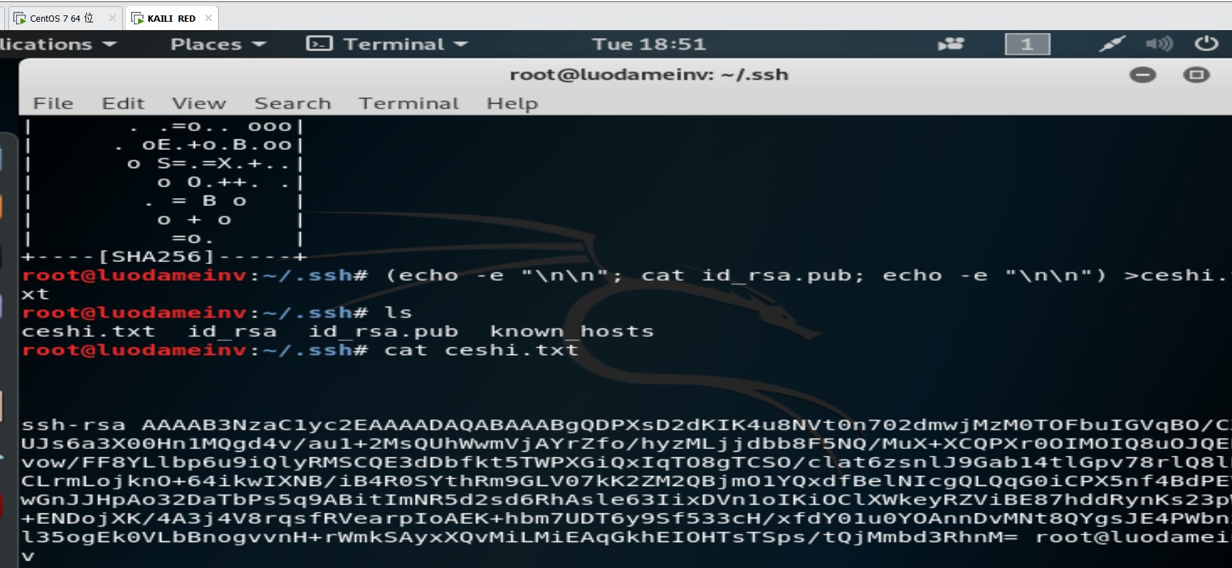 利用SSRF攻击Redis_ssrf打redis-CSDN博客
