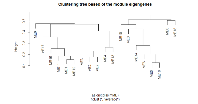 WGCNA 分析 —— 安装及概念介绍、简单应用及总结_wgcna安装-CSDN博客