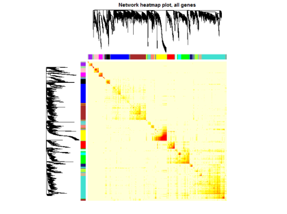 WGCNA 分析 —— 安装及概念介绍、简单应用及总结 - 忆云竹