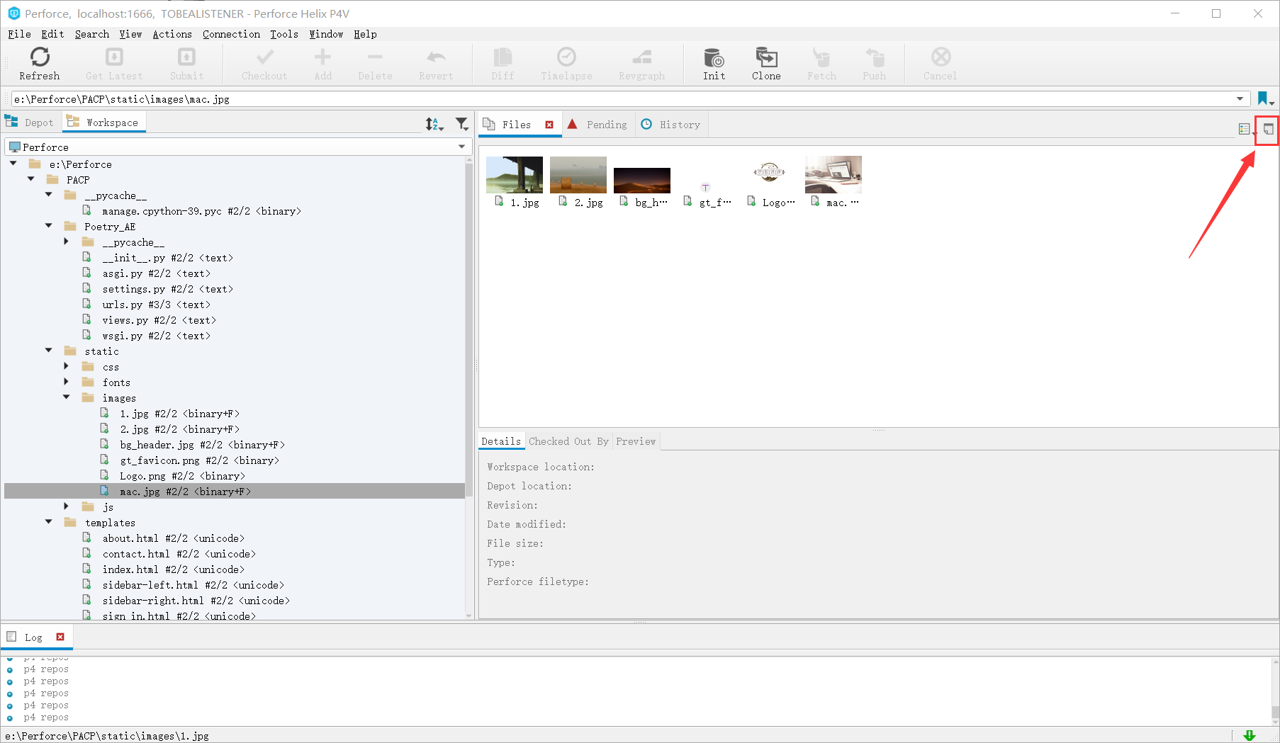 P4V 入门教程-CSDN博客