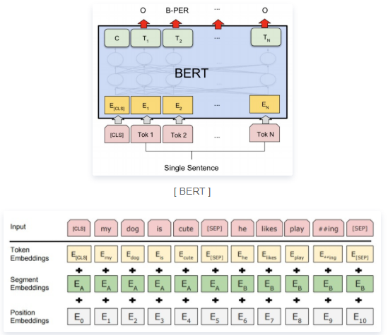 Bert模型的基本原理与Fine-tuning_bert fine tuning-CSDN博客