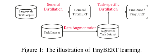 【BERT蒸馏】DistilBERT、Distil-LSTM、TinyBERT、FastBERT（论文+代码）_distilling bert for natural language ...