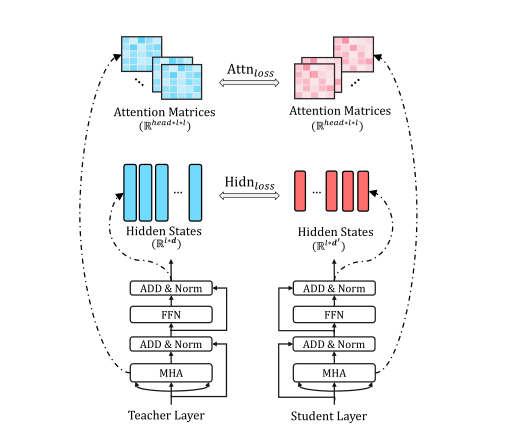 【BERT蒸馏】DistilBERT、Distil-LSTM、TinyBERT、FastBERT（论文+代码）_distilling bert ...