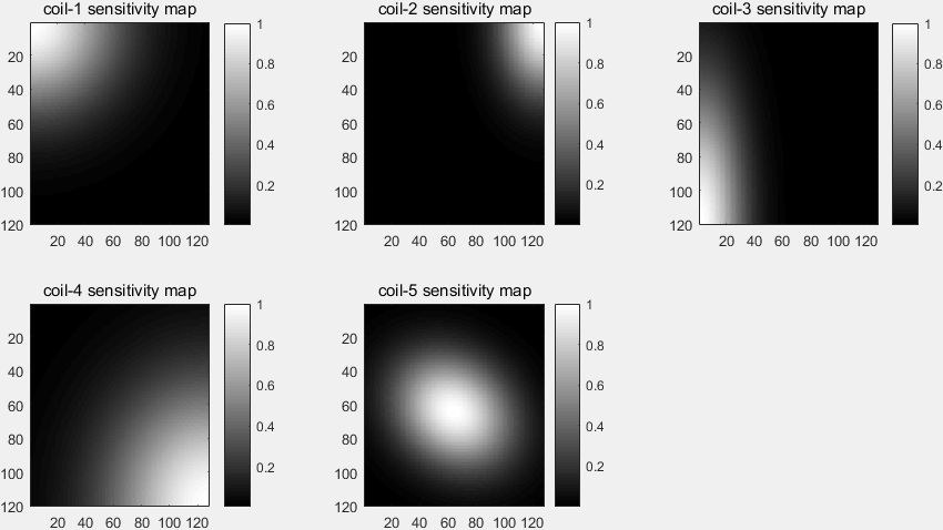 【MRI】SENSE (Sensitivity Encoding) 算法 仿真实验与原理剖析 (Matlab 实现)_down sampling rate-CSDN博客
