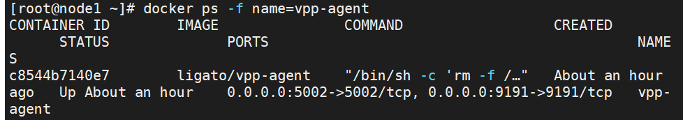 Ligato/vpp agent介绍和使用-CSDN博客